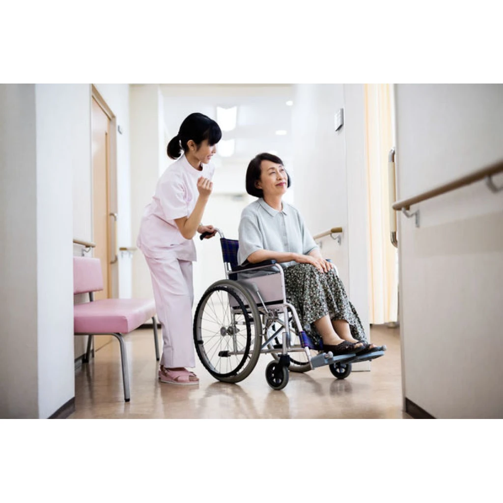 Study at Kalandra Education in New Zealand